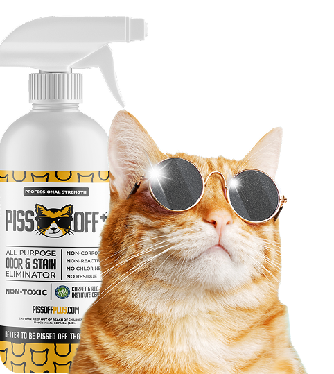 PISS OFF – SoRite, LLC